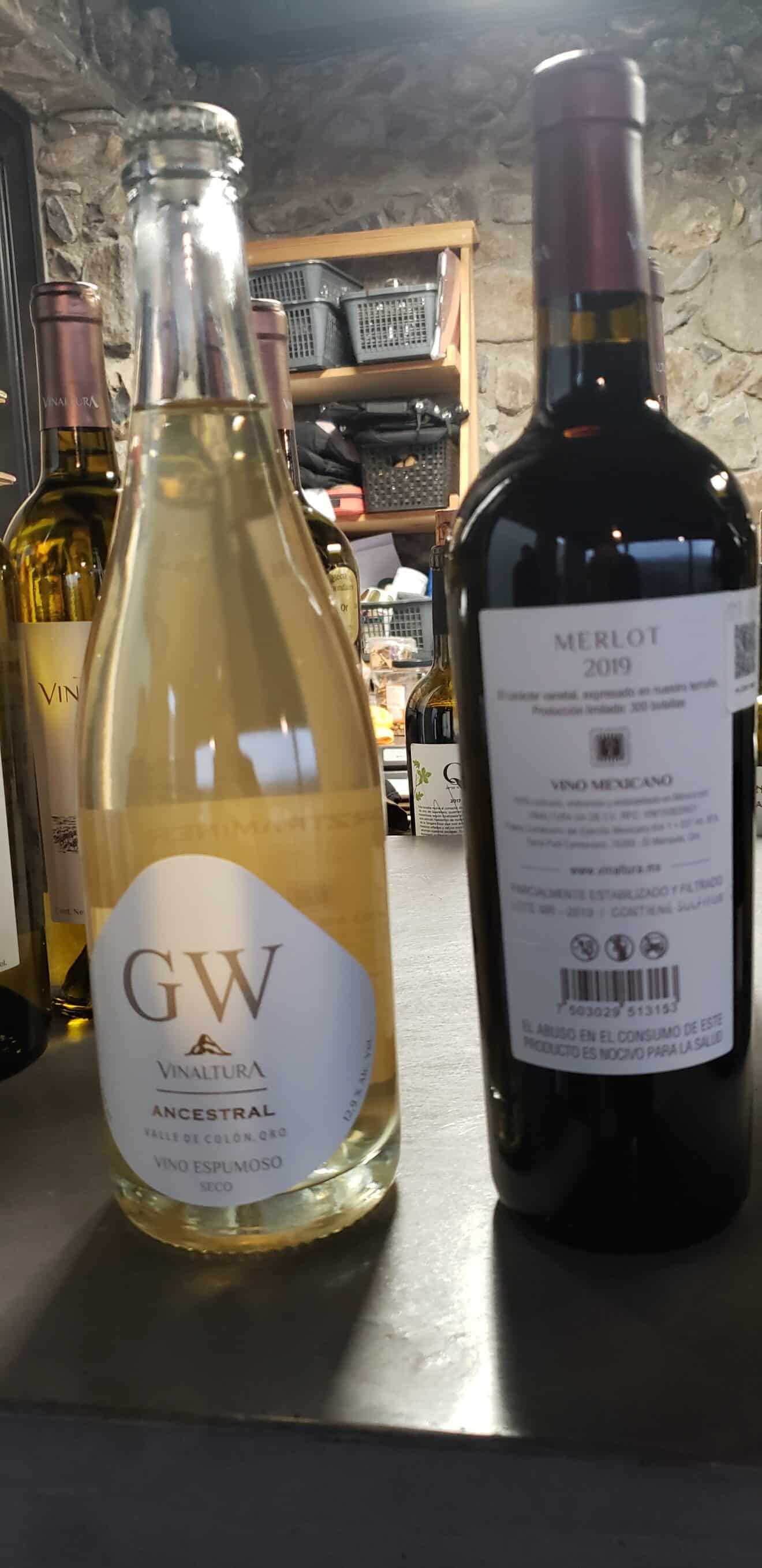 Vinaltura, un viñedo en Querétaro que está muy a la altura