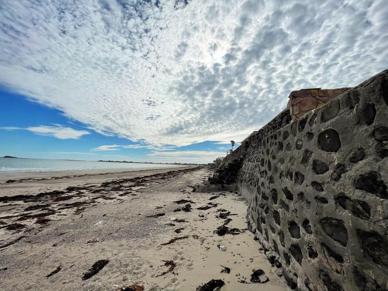Puerto Lobos, un destino entre el mar y el increíble desierto ...