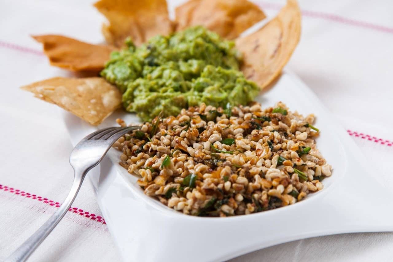 ¿Te gustan los escamoles? No te pierdas este festival en Hidalgo