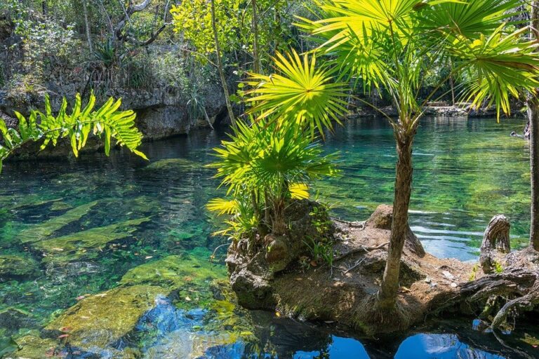 El Zacatón: el cenote más profundo del mundo | Descubre México