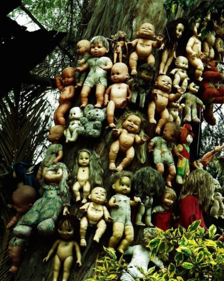 Isla de las Muñecas: Un inquietante lugar en Xochimilco