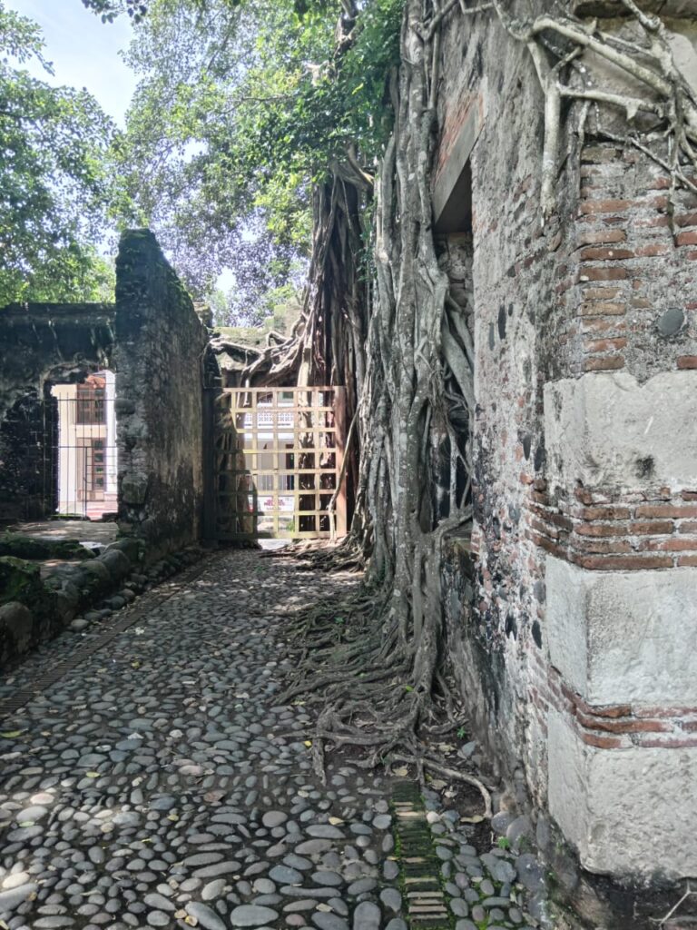 Descubre La Antigua Veracruz, primer municipio de la Nueva España