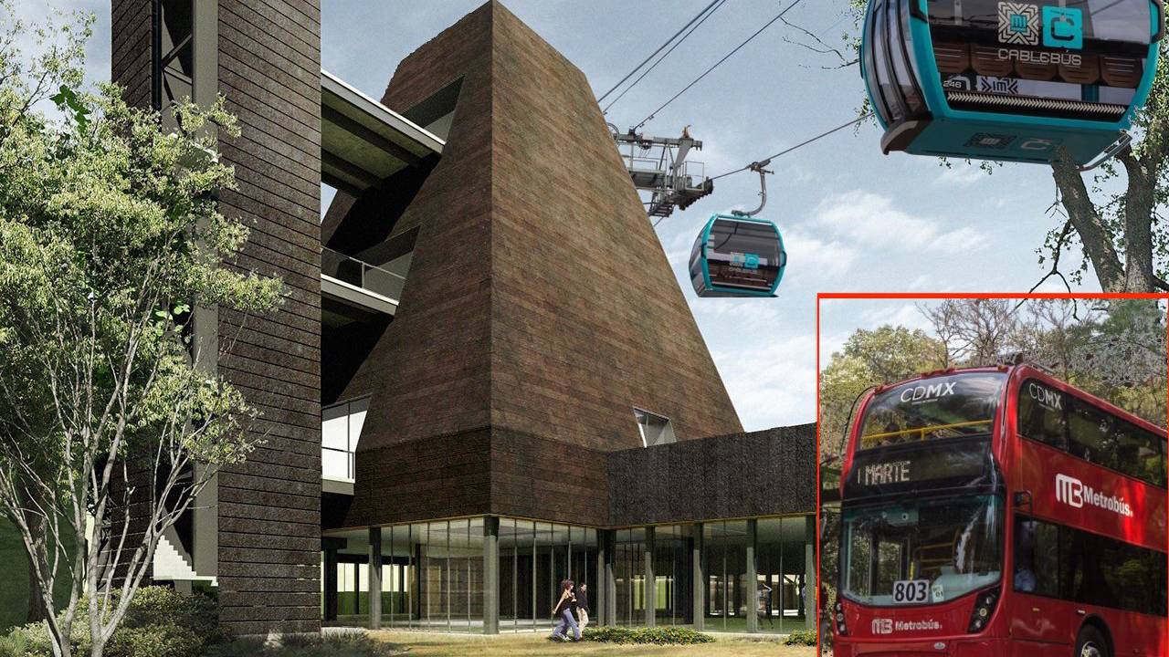 ¿Cómo llegar a la Cineteca Nacional de Chapultepec? Te decimos ...
